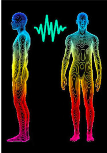 Total Body - Quantum Energy Wellness Center